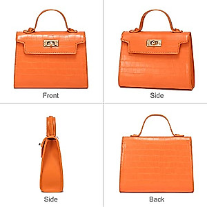 CATMICOO Mini Purses for Women Trendy Crocodile Small Handbag