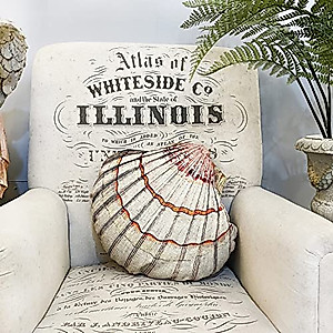 Flooreal Seashell Shape Decorative Cushion Throw Pillow 17.7" 3D Plush for Home Sofa Couch Bed Office Car Sea Ocean Conch 100% Polyester