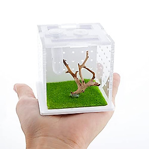 Spider Acrylic Breeding Box, Tarantula Transparent Terrarium, Jumping Spider Feeding Box, Insect Habitat Hatching Container Cage