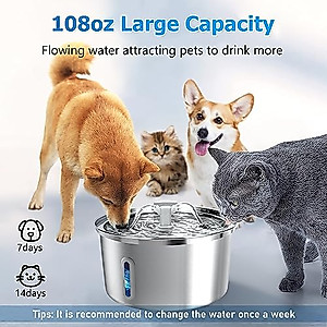 Ofat Home Stainless Steel Cat Water Fountain 3.2L/108oz Automatic Pet Water Fountain with Water Level Window, Quiet Pump Dishwasher Safe