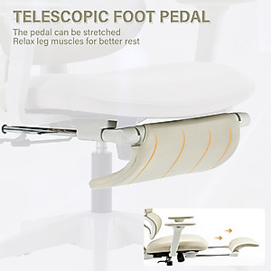 Ergonomic Office Chair with Footrest, High Back Computer Office Chair with Dynamic Lumbar Support, 2D Headrest, 2D Armrest, Sponge Seat, Mesh Home Office Desk Chair for Adults, Cream