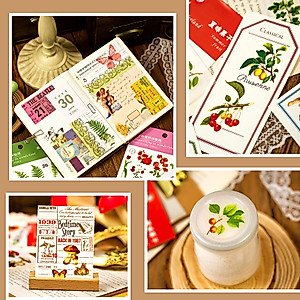 Rub on Transfers for Crafts, 16Sheets Mushroom Rub on Transfer Stickers Rub on Stickers Transfer Stickers Rub on Transfer Rub on Transfer Paper Rub on Decals Transfers for Crafts for Scrapbook DIY