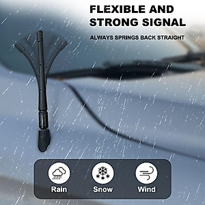 7 Inch Antenna for Toyota Tundra 2000-2022 Toyota Tacoma 1995-2015 Car Wash-Proof Radio Antenna for FM/AM Truck Antenna Replacement Toyota Tundra Tacoma Accessories Flexible Rubber Toyota Antenna