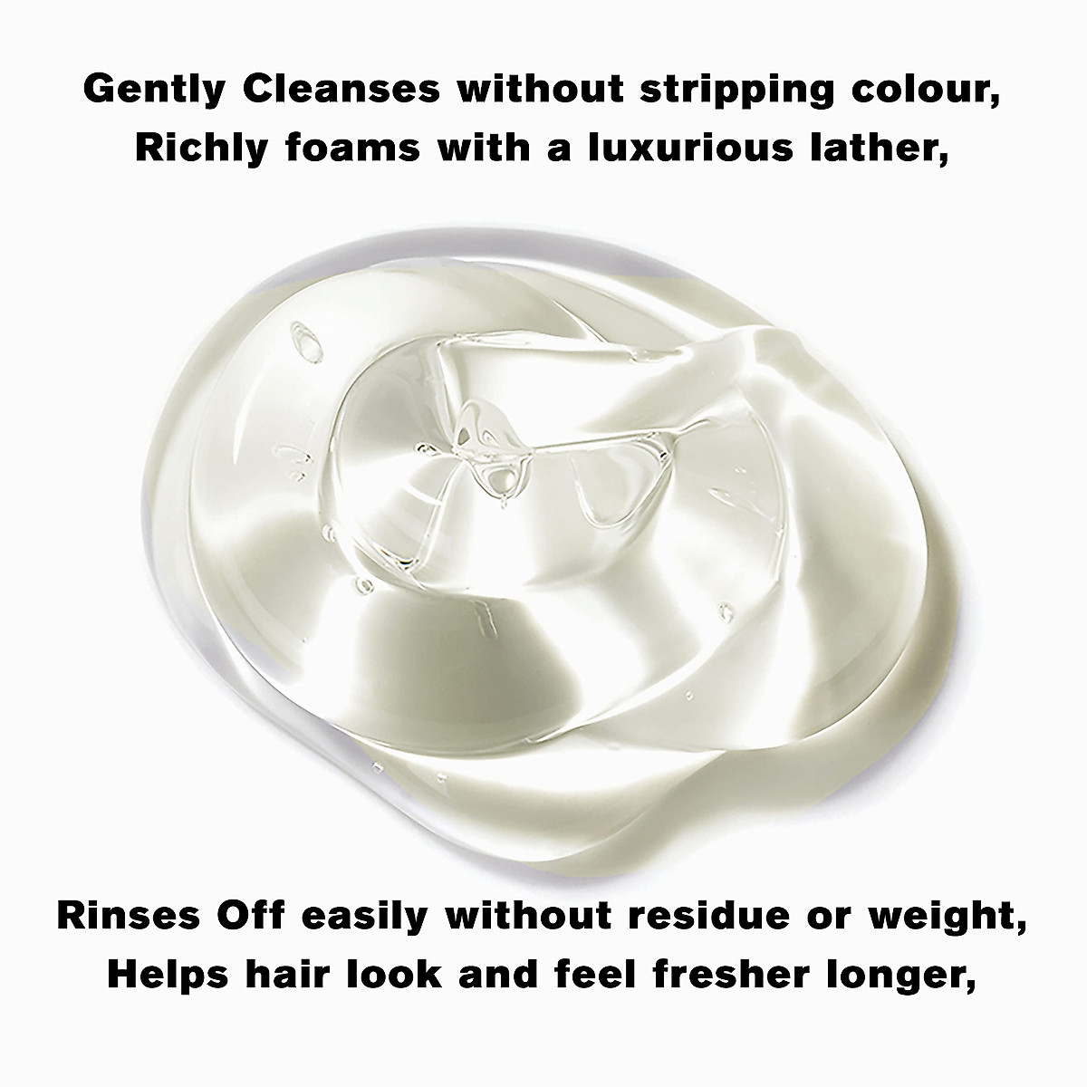 SNOBGIRLS NORMADENSE 2 Vegan Biotin Shampoo for Dry, Fine Hair. Strengthening Shampoo with Argan Oil and Biotin (10.1 Fl Oz)