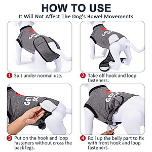 GreenJoy Get-Well-Soon Dog Surgery Recovery Suit - Soft Breathable Dog Onesie Post-Spay/Neuter, Anti-Licking Dog Bodysuit for Small, Medium, Large Dogs (Grey, M)