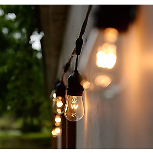 25 Pack 11 Watt S14 Medium Base 130 Volt 2500 Hour Clear Sign or Indicator Lightbulb