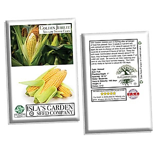 Golden Jubilee Yellow Sweet Corn Seeds for Planting, 30+ Seeds Per Packet, (Isla's Garden Seeds), Non GMO & Heirloom Seeds, Botanical Name: Corn Zea mays, Great Home Garden Gift