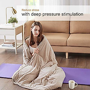 Degrees of Comfort Weighted Blanket 12 Pounds for Adult, Soft Plush to Sherpa Heavy Blankets, 48x72 Twin Size, 12lbs, Sand Beige