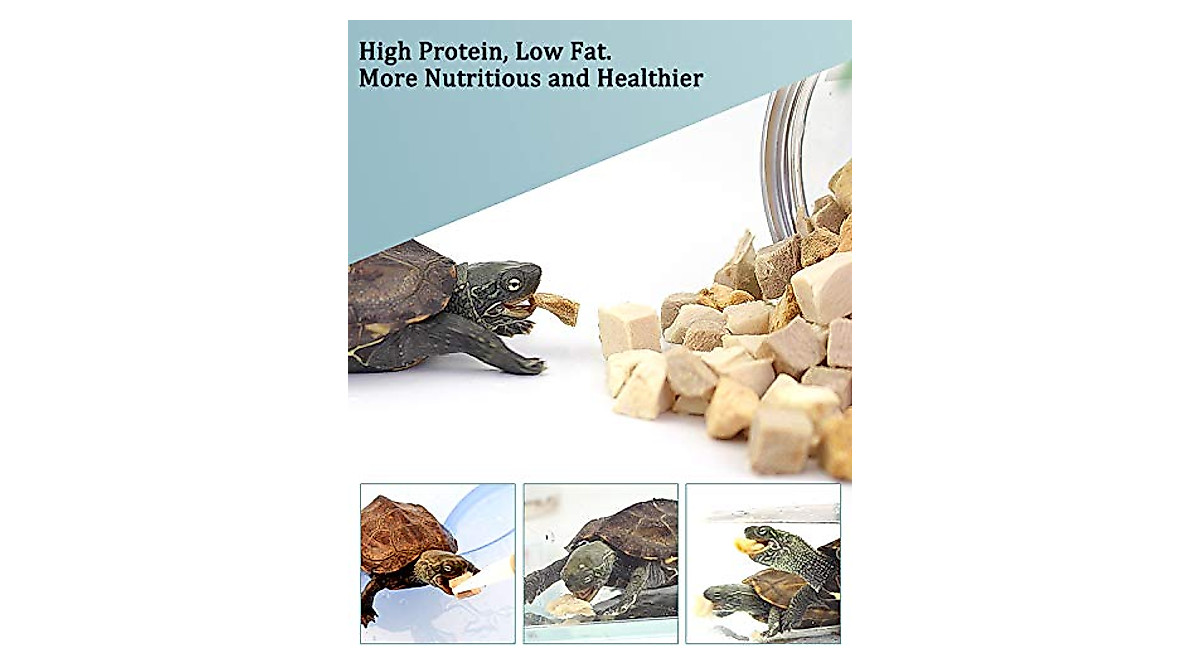 BNYEE 3 in 1 Turtle Treats - Natural Freeze Dried Food