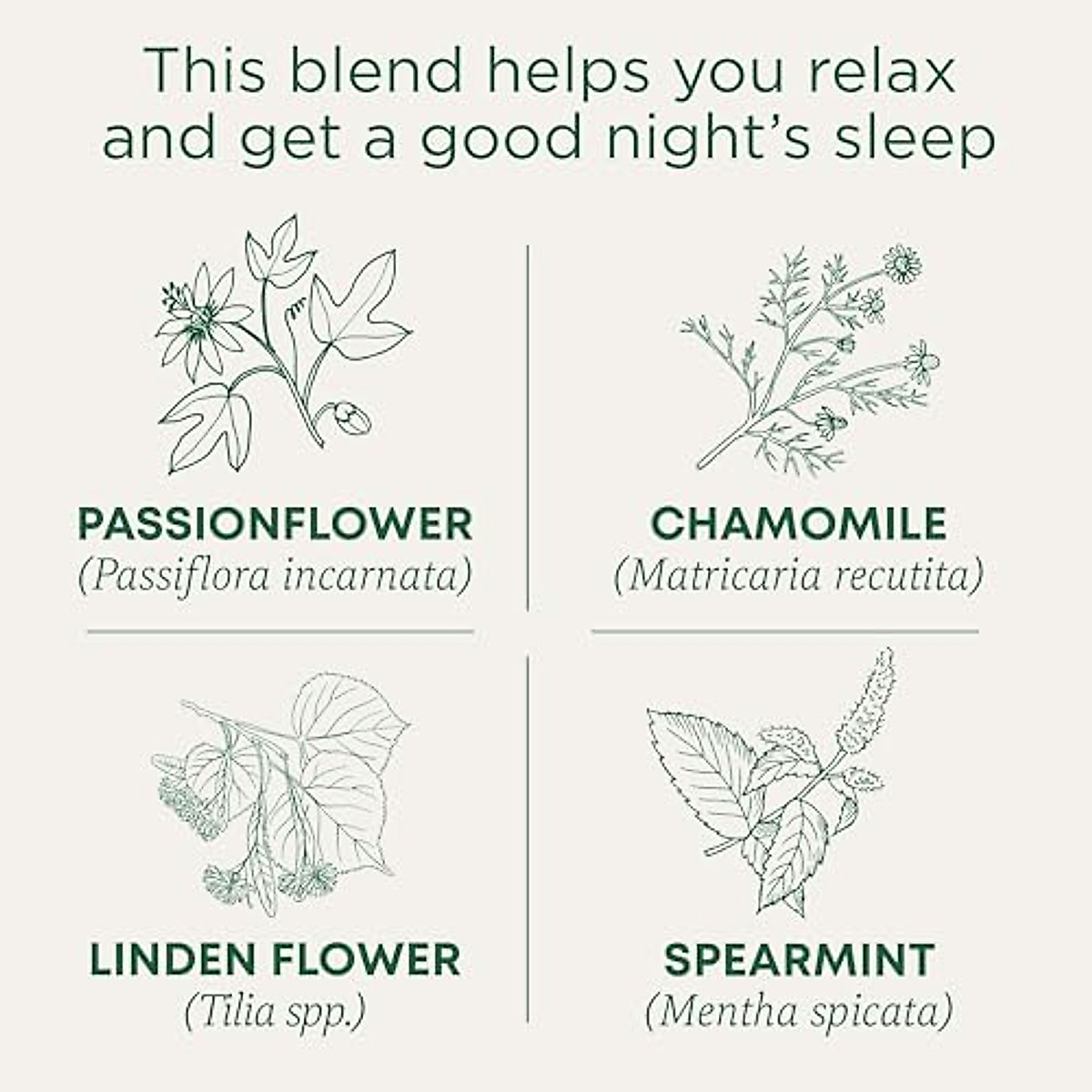 Traditional Medicinals Tea, Organic Nighty Night, Relax & Get a Good Night's Sleep, 96 Tea Bags (6 Pack)