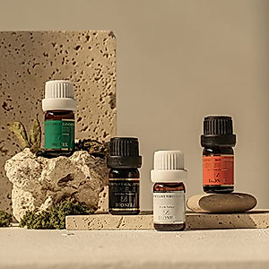 Dionel Secret Love Romantic Rose inner perfume fragrance oil for underwear women Long-lasting feminine Fragrance with rich and rose Scent 5ml 0.17fl.oz