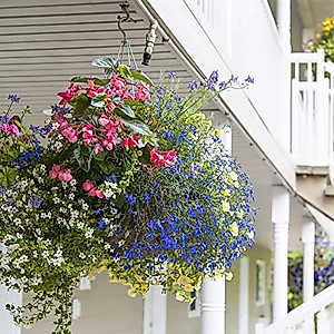 6 Pieces Swag Ceiling Hooks Heavy Duty Swag Hook Hanging Plants Chandeliers Wind Chimes Ornament Hooks for Home Office Kitchen (Bronze,Large)