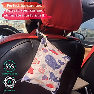 HOMLT Activated Bamboo Charcoal Air Purifying Bags (200g x4)- Natural Kids and Pet-Friendly Air Purifier, Deodorizer, Dehumidifier -Odor Eliminator, Moisture Absorber, Freshener for Home & Car (Ocean)