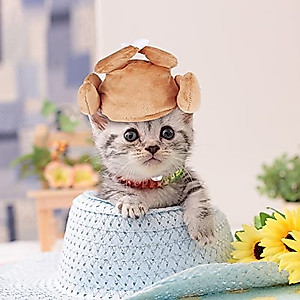 Cat Pet Thanksgiving Turkey Hat for Halloween Thanksgiving Costumes Hat Small Dog Drumstick Hat for Accessories and Party Favors.