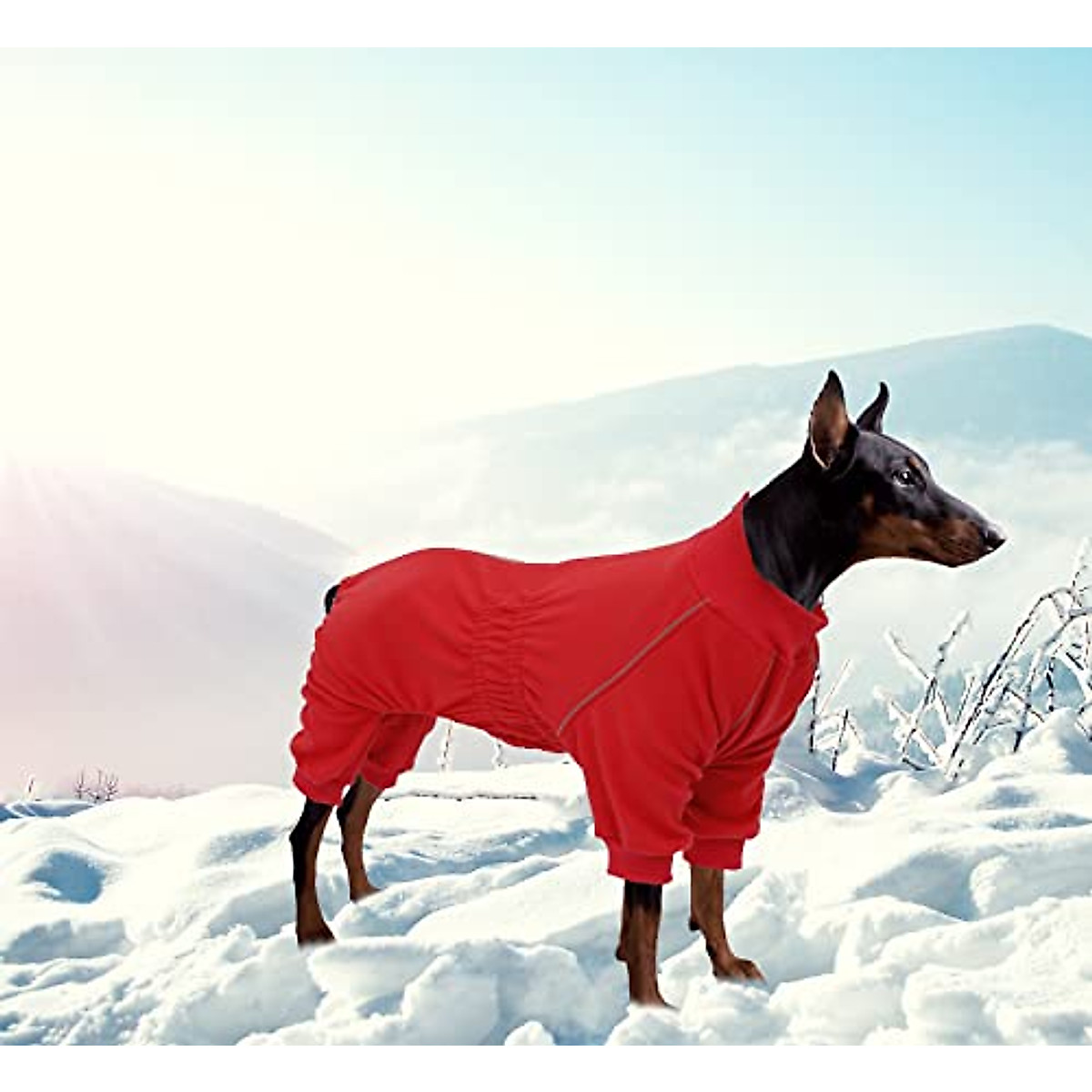 Dog Full Body Warm Fleece Coat with Legs Puppy Pyjamas Jumpsuit Suit with Reflective Zipper Closure Put on and Off Easy and Safety - Red - XL