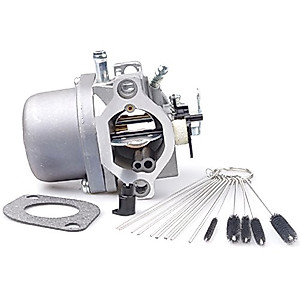 Dosens Carburetor Compatible with Briggs & Stratton 799728 494392 494502 286702 286707 LMT 5-4993 Models 286702 286707Carb with Gasket & Carbon Dirt Jet Cleaner Tool Kit