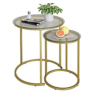 Azheruol Nesting Coffee Table Set of 2,Modern Gold Tempered Glass Side Table, Metal Frame Round End Table.Small Glass Tea Table for Living Room,Bedroom Studio Apartment Essentials，23.2in