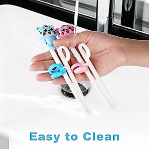 2 Pairs Training Chopsticks for Beginners, Learning Chopsticks Helper Cute Animal Training Chopsticks Practice Chopstick Trainer for Adults