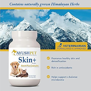 Ayush Pet Skin Plus, Neem Supplement for Healthy Skin and Coat, Supports Gut and Immunity, 90 Capsules