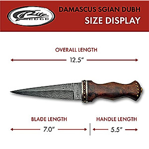 Szco Supplies 12.5" Damascus Steel Sgian Dubh Scottish Dirk Knife, One Size, Brown (DM-1076)