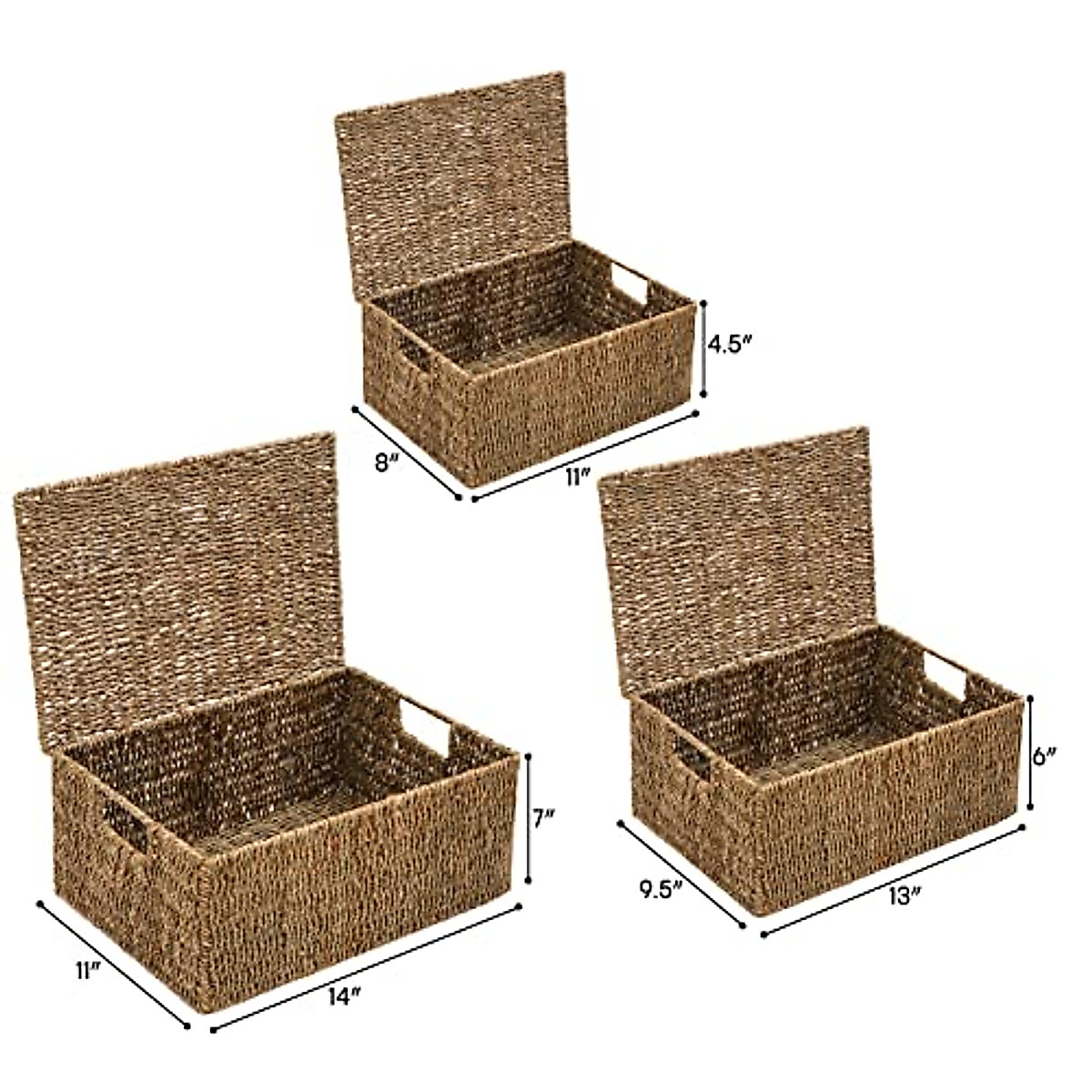 Set of 3 Rectangular Seagrass Baskets with Lids by Trademark Innovations