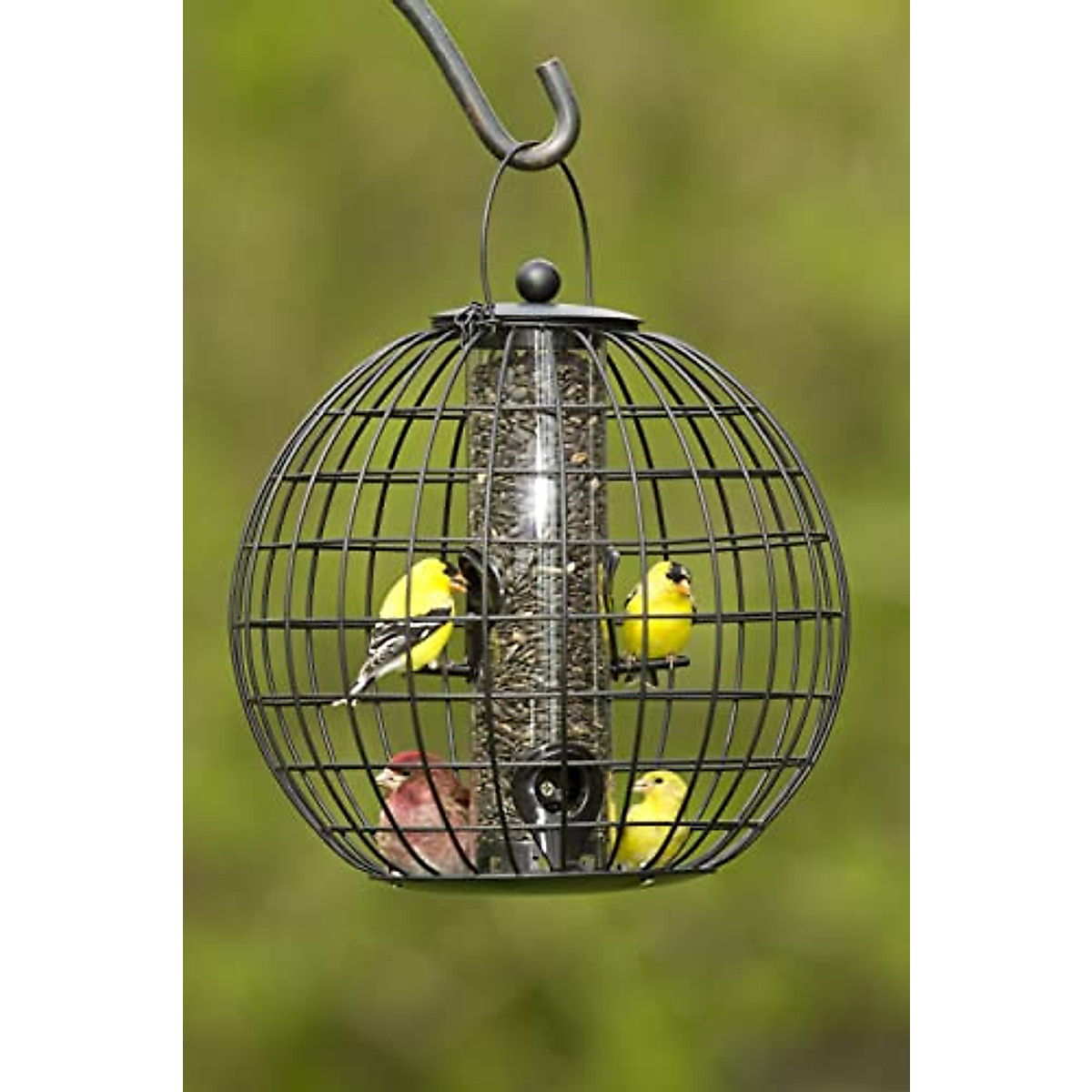 Gardeners Supply Company Globe Cage Bird Feeder | Sturdy and Squirrel Proof Outdoor Garden Hanging Hummingbird Feeder with Mixed Seeds Container | Best for Finches Nuthatches and Other Small Birds