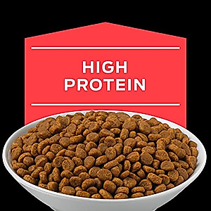 Purina Pro Plan Veterinary Diets DM Dietetic Management Feline Formula Dry Cat Food - 10 lb. Bag