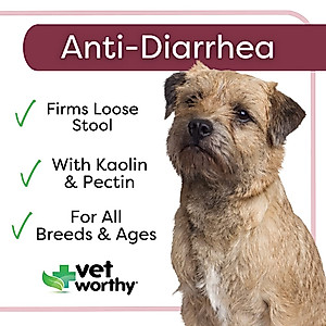 Vet Worthy Anti-Diarrhea for Dogs - Dog Supplement to Help Relieve Diarrhea, Stomach Upset, and Discomfort - 8oz