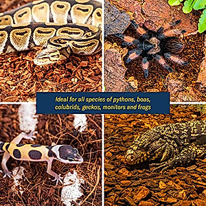 ReptiCasa Organic Coconut Chips Expandable Substrate Block for Reptiles, Snakes, Tortoise, and Amphibians, Natural Fiber Free Husks, Clean Breeding and Bedding Flooring, Odor Absorbing, up to 75 Quart