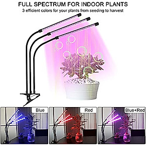 Buteny Grow Lights Plant Light for Indoor Plants Lamps Auto ON/Off Timer