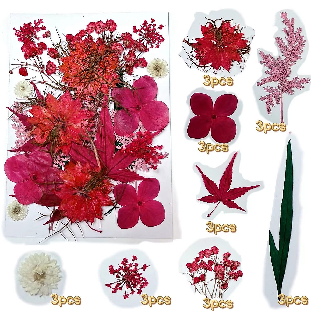 Fbrand 180 Pieces of Real Dry Embossed Flowers with Plant Petals Used for Scrapbook Supplies Card Making Nail Art Picture Frame Decoration soap and Candle