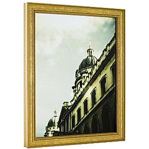 Craig Frames 314GD 16 x 20 Inch Ornate Gold Picture Frame Matted to Display a 11 x 14 Inch Photo