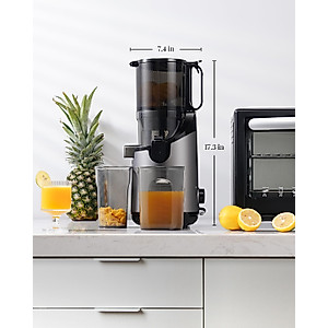 GDOR Cold Press Masticating Juicer Machines, Self Feeding Slow Pure Juicer, 5.3" Extra Feed Chute Fit Whole Vegetable and Fruit, Grey