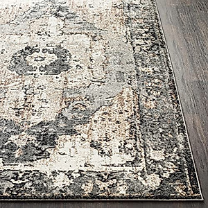 Hartshone Bohemian Farmhouse Living Room Bedroom Dining Room Area Rug - Boho Vintage Distressed - Persian Tribal Style Carpet - Dark Brown, Grey, Tan, Beige, Khaki, Charcoal, Light Black - 6'7" x 9'
