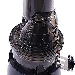 awolsrgiop Juicer Machine, 250W Masticating Juicer Cold Press Slow Juicer Extractor for Home Juicer Machines for Nutrient Fruits Quiet Kitchen Double Slots Stainless Steel High Juice Yield Low Noise