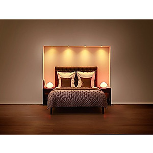 Philips Hue White and Color Ambiance BR30 Starter Kit (Older Model, 3 BR30 Bulbs and Bridge, Compatible with Amazon Alexa, Apple HomeKit and Google Assistant)