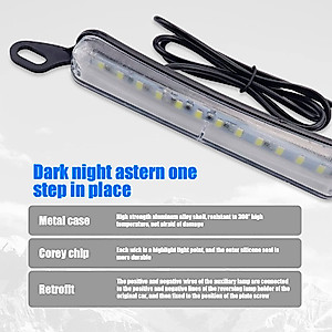 QODOLSI Pack-1 LED License Plate Light, Universal Car License Plate Light, Bright Running Light Reversing Lights LED License Plate Light (White)