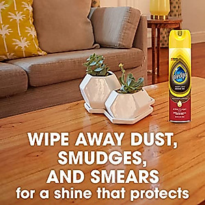 Pledge Moisturizing Oil Spray, Amber & Argan Scent, Nourishes, Protects and Revitalizes Furniture, 9.7 oz