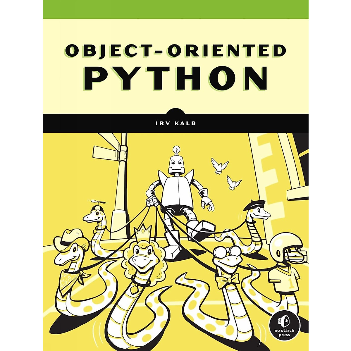 Object-Oriented Python: Master OOP by Building Games and GUIs