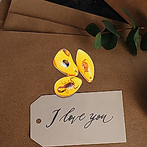 ULTNICE 3pcs Amber Insect Specimens Pendants Amber Fossil Insect Artificial Amber Insect Specimen Pendant Scorpions Insects Amber Stone Ornament for Necklace