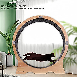 Cat Wheel, Cat Treadmill, Exercise Wheel, Cute Cat Furniture, Pet Toy, Cat Toy, Cats Loss Weight Device (Medium)