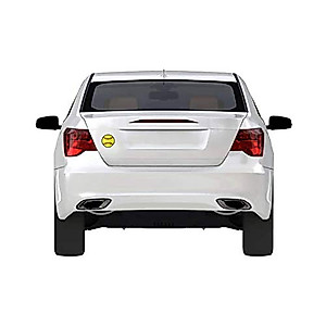 Car Magnet Sports Athlete Softball Magnetic Decal for School Locker or Refrigerator, 3 3/4 Inch, Set of 5