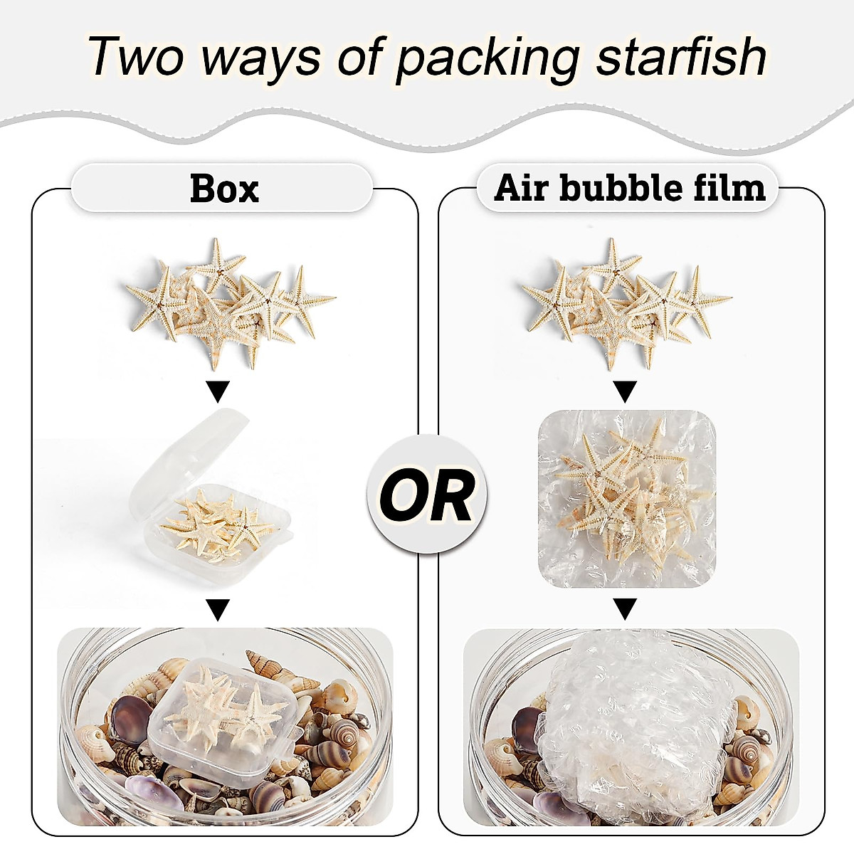 HAPY SHOP 1200 PCS Tiny Sea Shells Small Natural Starfish Mixed Ocean Beach Spiral Seashells for Home Decorations,Wedding Decor,Candle Making,Beach Theme Party,DIY Crafts and Vase Filler