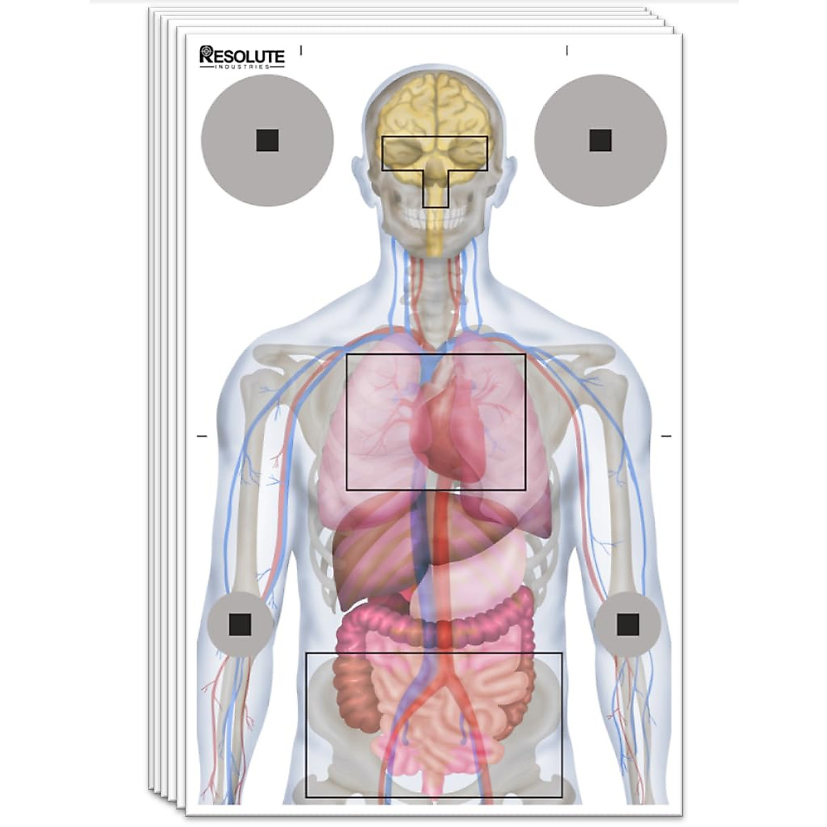 RESOLUTE (25) 23x35 Medically Designed Shooting Targets For The Range, 100% Anatomical Shooting Target, Targets For Pistol Shooting, Rifle, Air Pistols, Pellet Gun, Bb Gun, Airsoft Rifles, Airsoft Gun