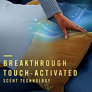 Febreze Touch Fabric Spray, Sneaker Balls Alternative, Couch Cleaner, Refresher Ocean & Mountain, 16.9 oz, Pack of 2,33.8 Fl Oz