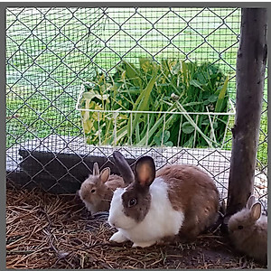 2 Pack Hay Feeder with Two Extra Hooks for Rabbit, Guinea Pig, Bunny, Chinchilla, Heavy Duty Metal Rack Hay Holder