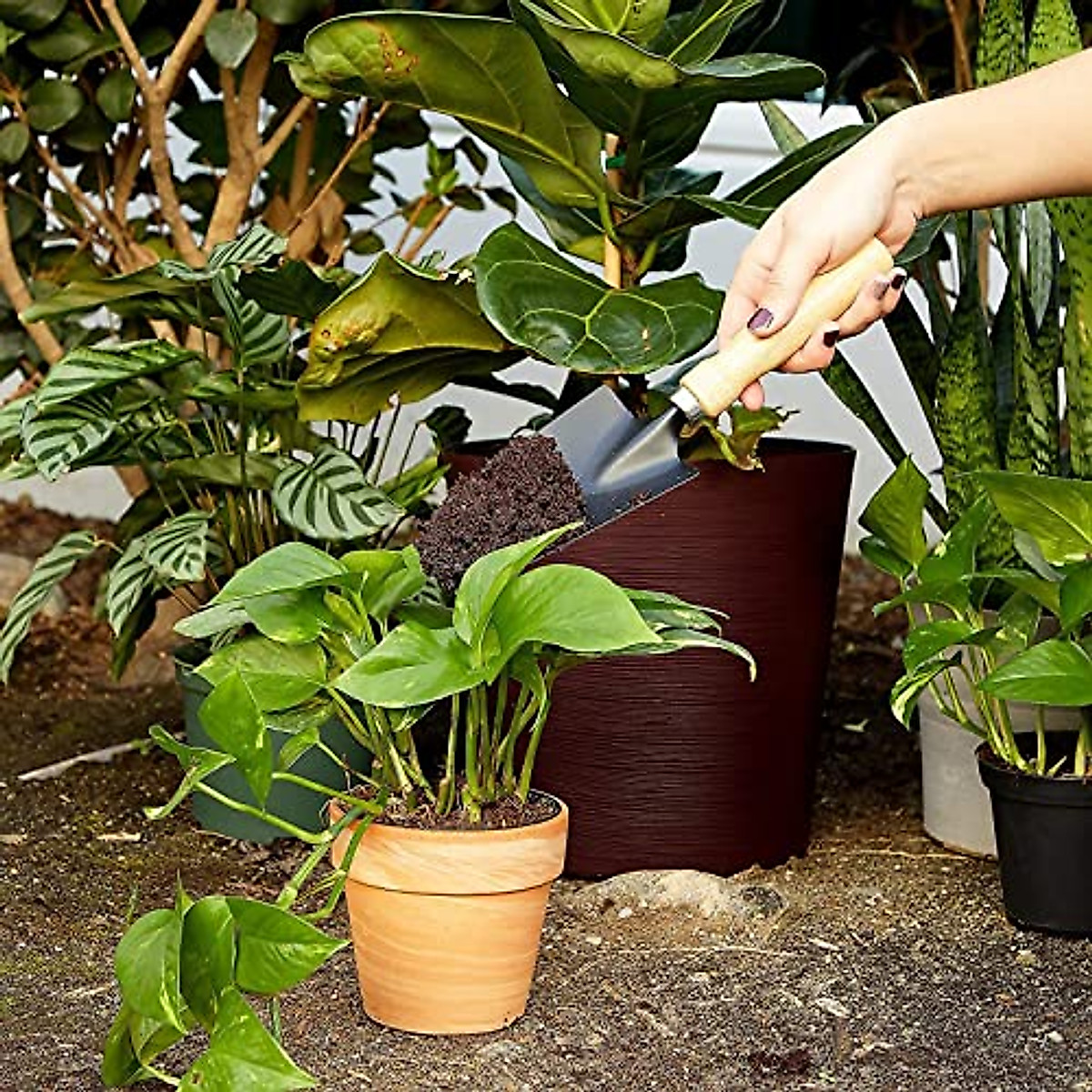 12 Pack Compressed Coco Coir Seed Starter, 0.55lb Soil Brick for Gardening