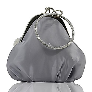 Kingluck Silk Flower Slot Pocket Hasp Totes Frame Women Kingluck Flower Evening Handbags/Clutches In Wedding Handbag (grey)