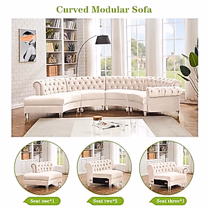 Legend Vansen Curved Velvet Sectional Sofa,Modern Upholstered Tufted Modular Sectional Sofa with Metal Legs,Comfy Semicircle Couch with Rolled Arms and Nailheads for Living Room,Bedroom（Beige）