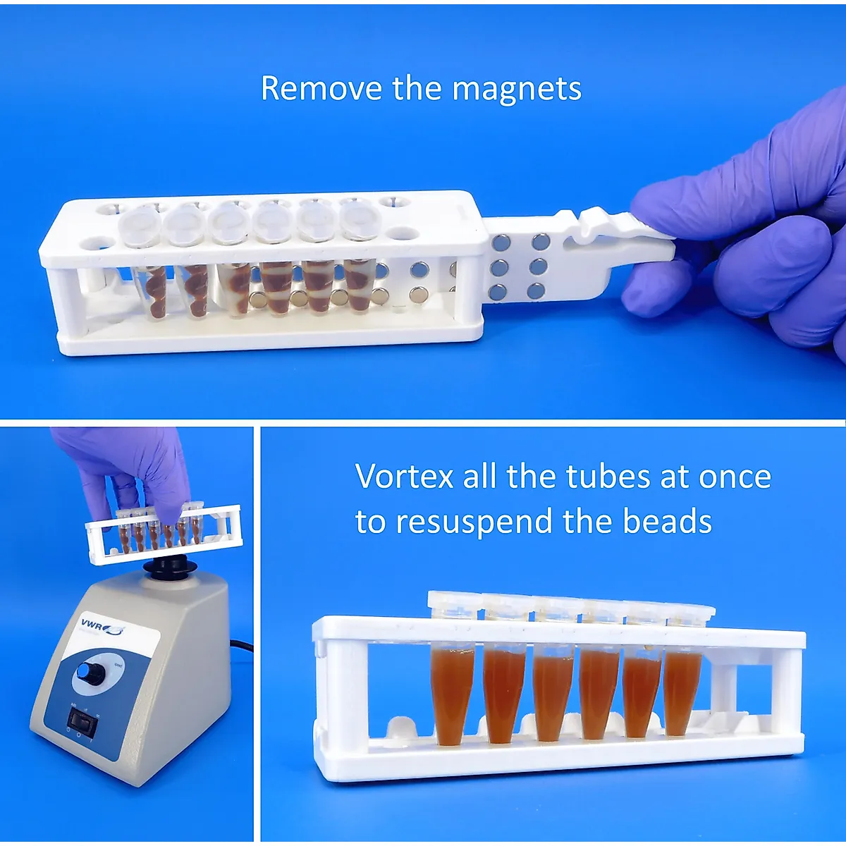 Magnetic Rack for 1.5 and 2 mL centrifuge Tubes, with Removable Magnets